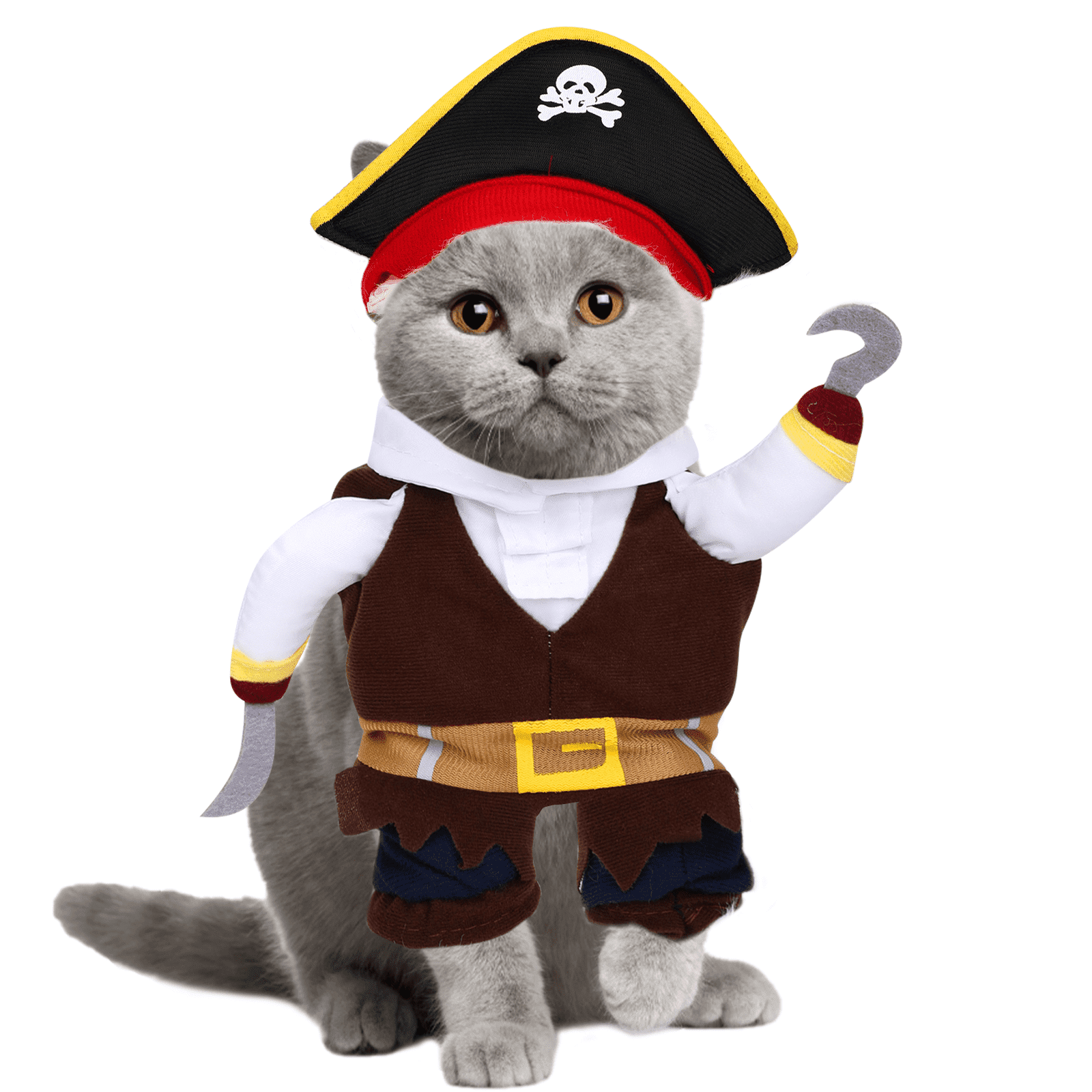 2Pcs Pirates of the Caribbean Style Cat Costume, Funny Halloween Cat ...