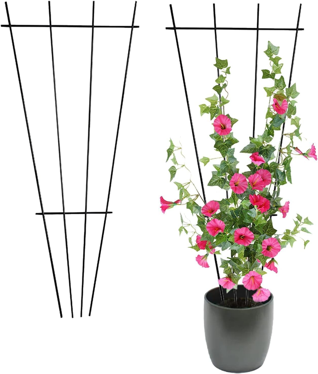2Pcs Plant Trellis for Climbing Plants Indoor, Green Coated Fan Pot ...