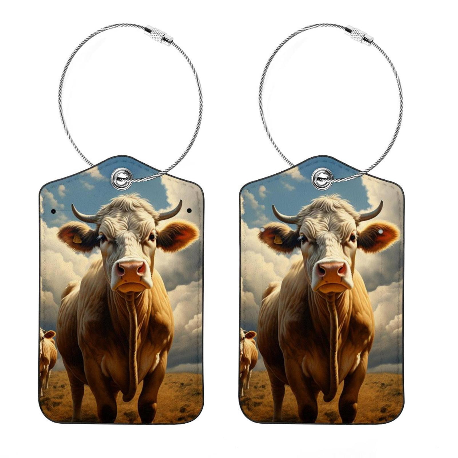 2Pcs Pretty Luggage Tags for Suitcase, Easy-to-Recognize Baggage Tags ...