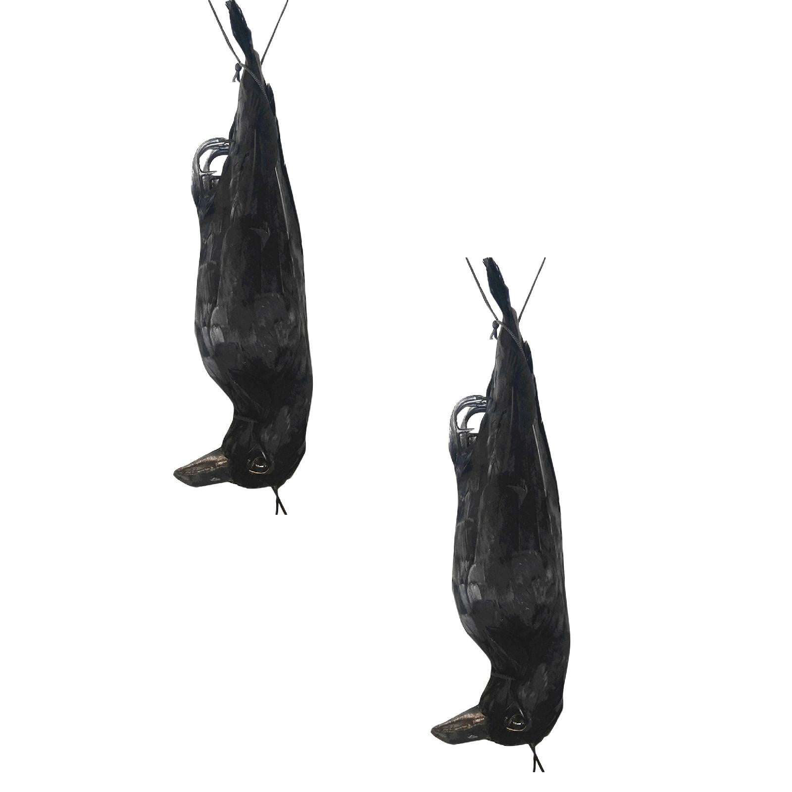 2Pcs Realistic Hanging Dead Crow Lifesize Extra Large Black Feathered ...