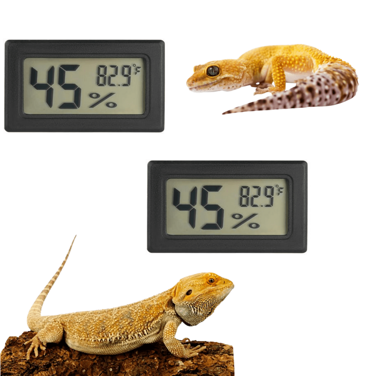 2Pcs Reptile Thermometer and Humidity Gauge Rectangular Digtal ...