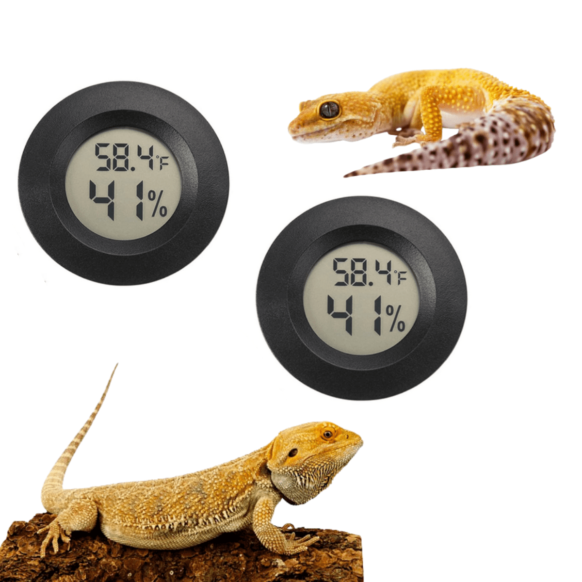2Pcs Reptile Thermometer and Humidity Gauge Round Digtal Terrarium ...