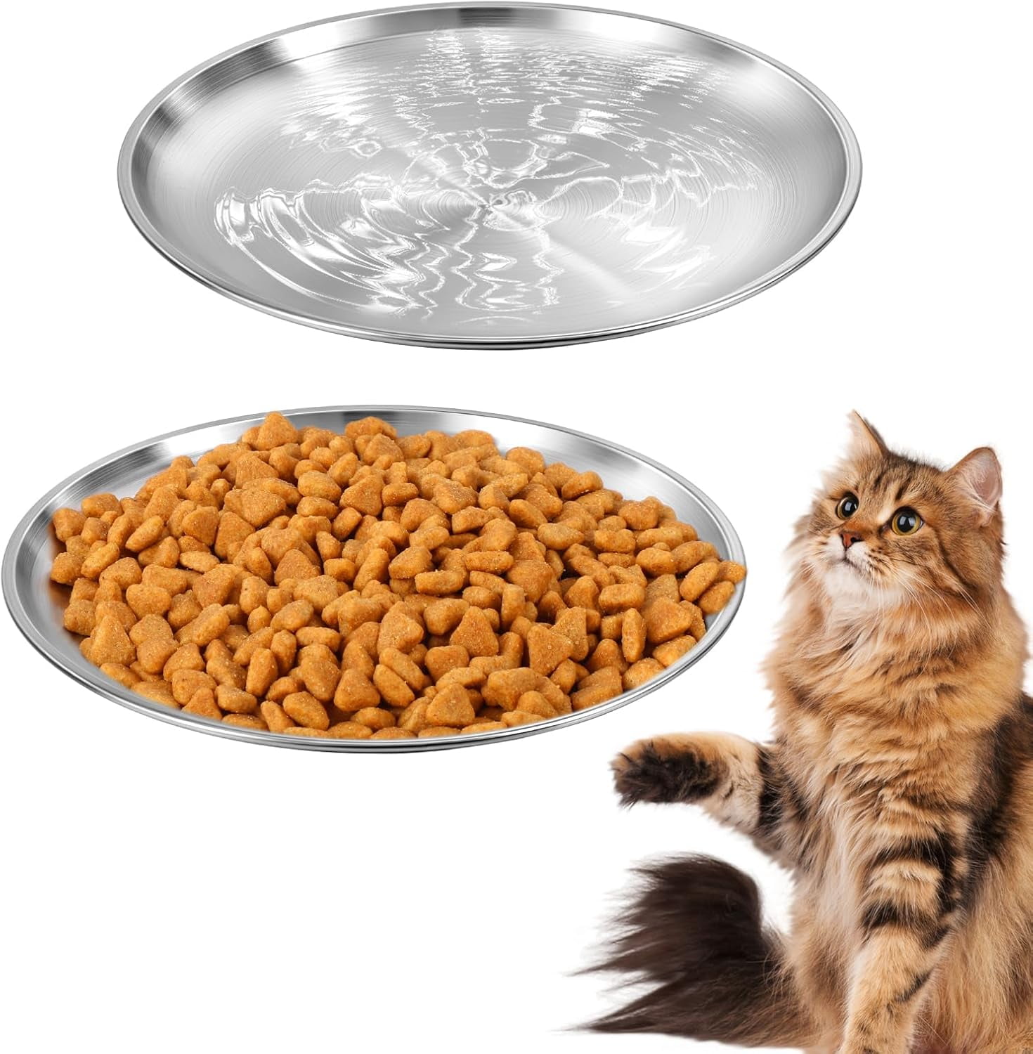 2Pcs Stainless Steel Cat Dishes for Food and Water Bowls for Small Pets ...