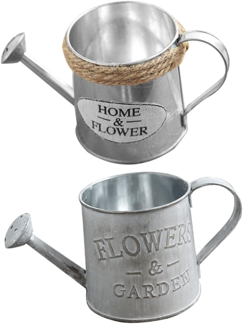 2Pcs Tin Watering Can Vases for Centerpieces Mini Flower Pots Mini ...