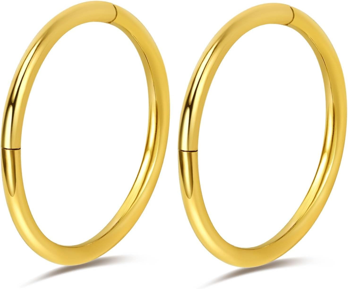 2Pcs Titanium Nose Rings 20G 18G 16G Nose Rings Hoops Septum Clicker ...