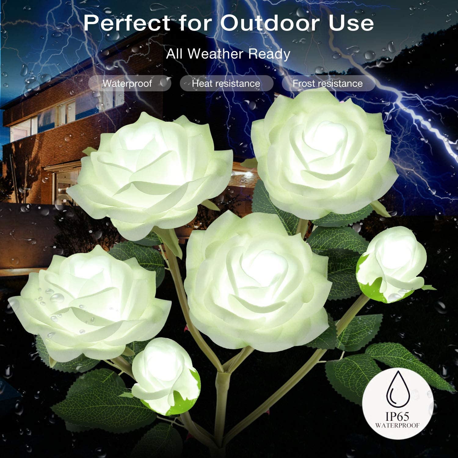 2Pcs Upgraded LED Solar Lights Outdoor Waterproof with 5 Roses, Soft ...