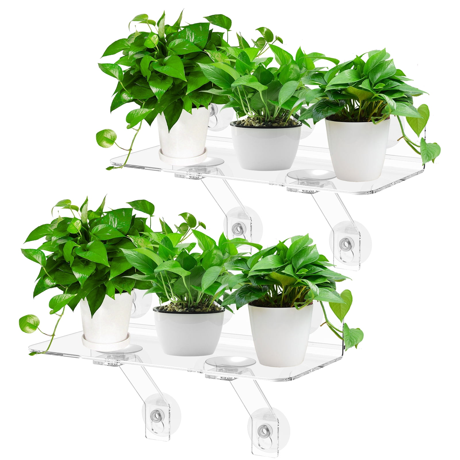 2Pcs Window Plant Shelves Suction Cup Shelf for Plant,Acrylic Window ...