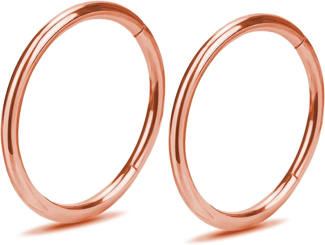 2Pcs Women Men Titanium Nose Rings Hoops 20G 18G 16G Hinged Nose Clicker for Nostril Septum ...