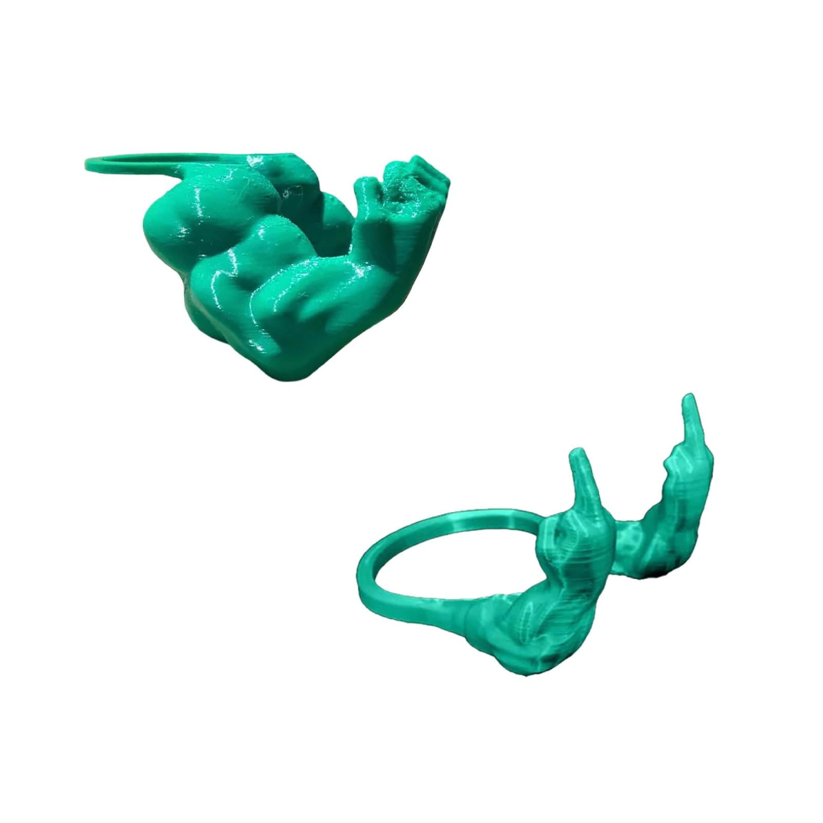 2Set Chicken Arms to Put on Chickens, Chicken Arms for Real Chickens ...