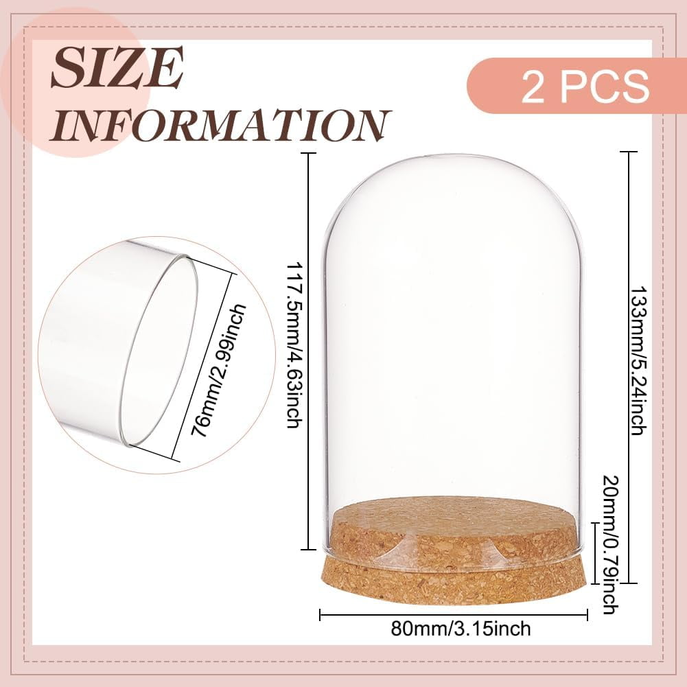 2Set Glass Display Dome with Cork Base 3.14x4.6 inch Tabletop ...