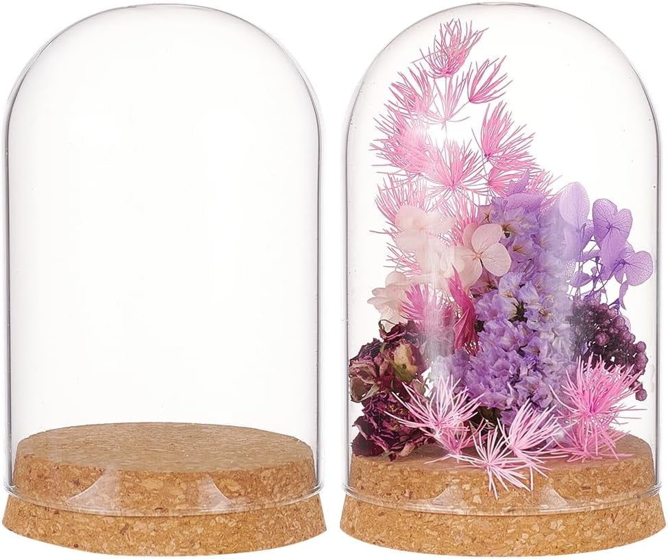 2Set Glass Display Dome with Cork Base 3.14x4.6 inch Tabletop ...