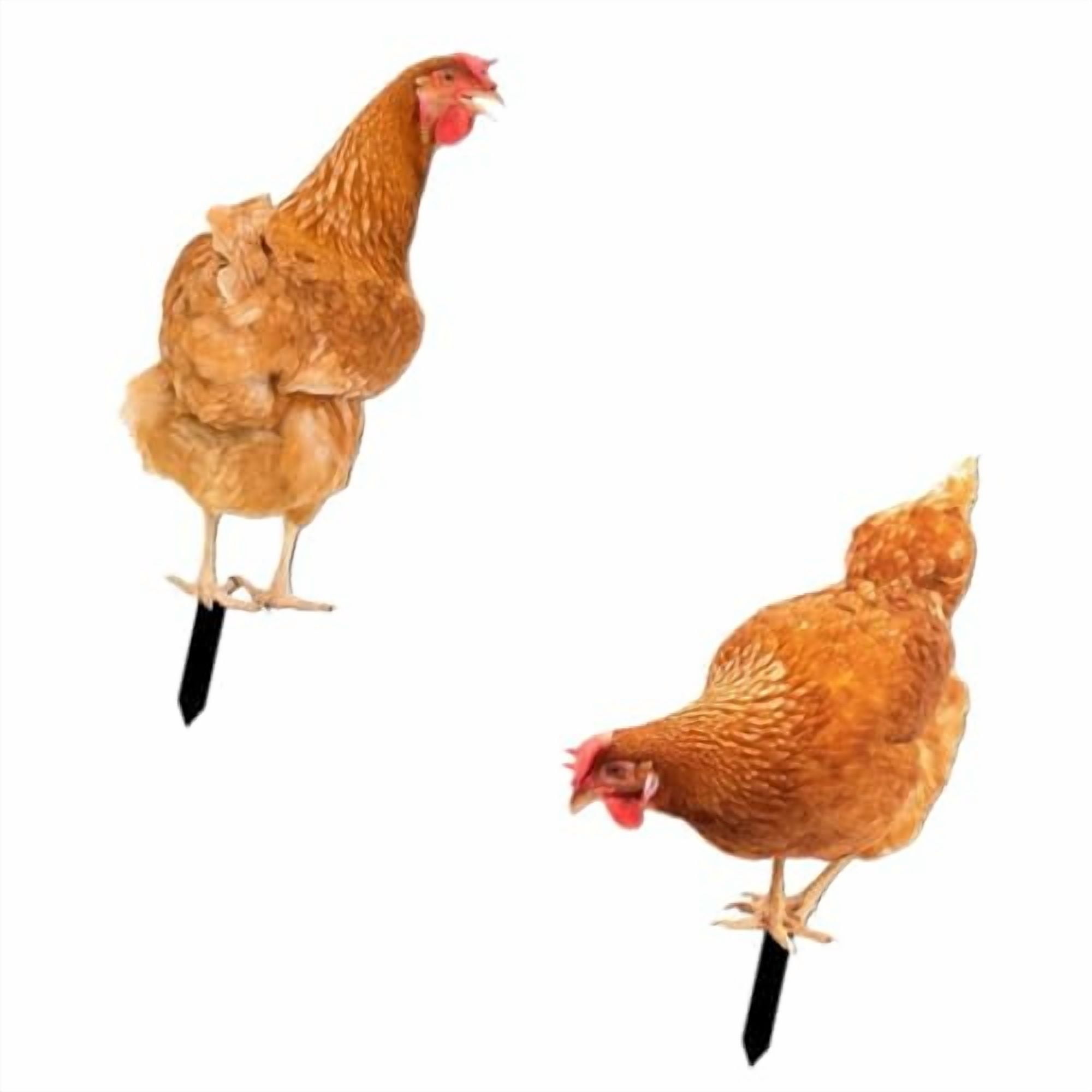 2X Acrylic Chicken Statue Stake, Farm Animal Yard Stake, Lawn Ornament ...