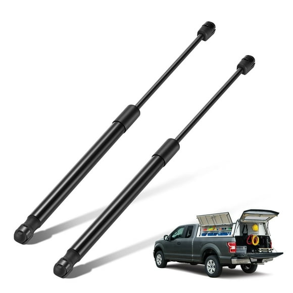 Leer Canopy Gas Struts