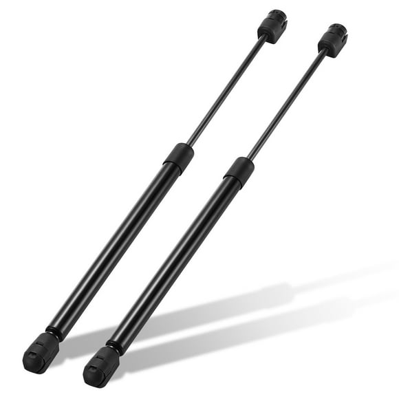 Leer Canopy Gas Struts