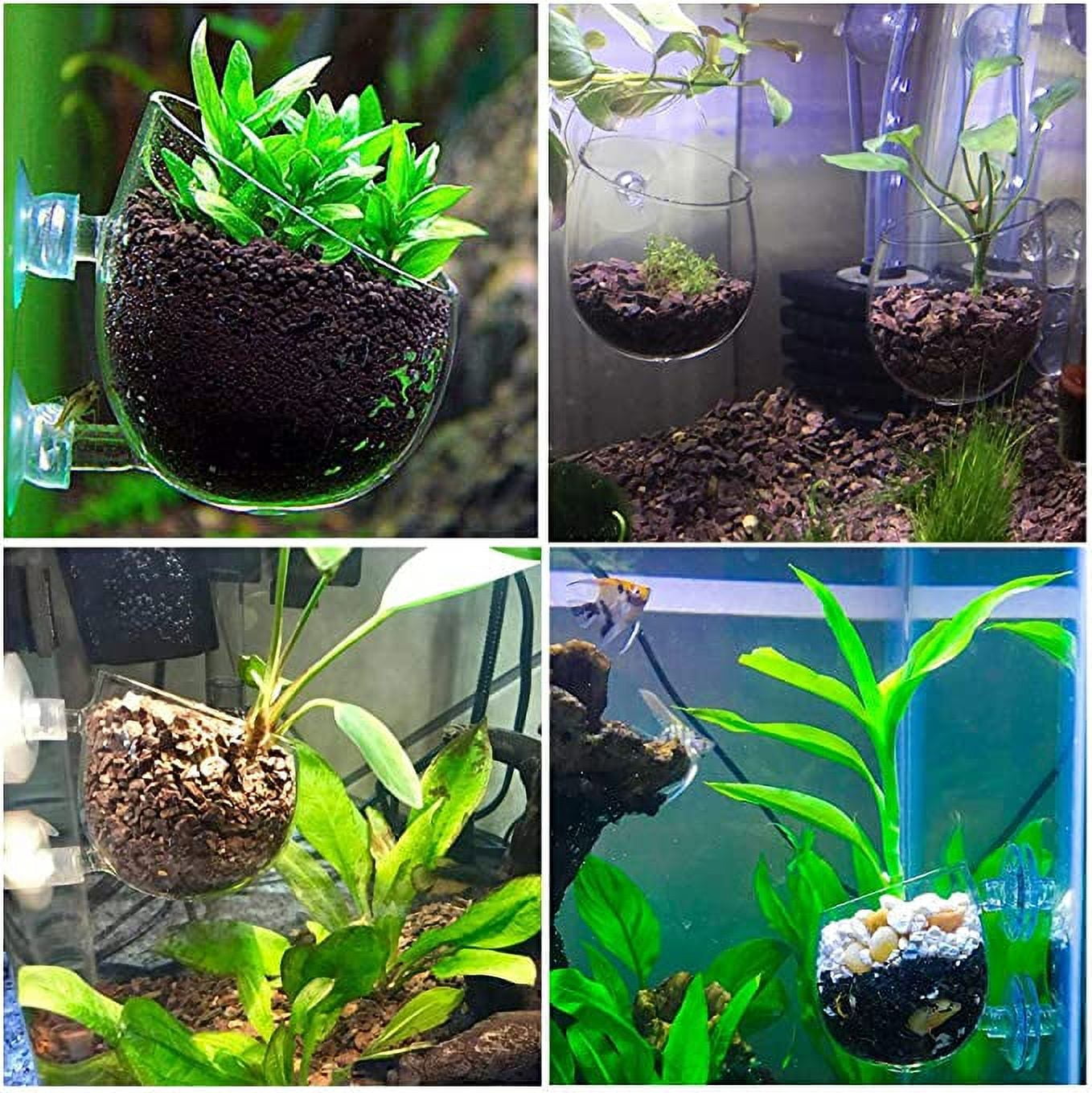2X Crystal Glass Aquatic Plant Pot, Aquarium Aquatic Planter, Red ...
