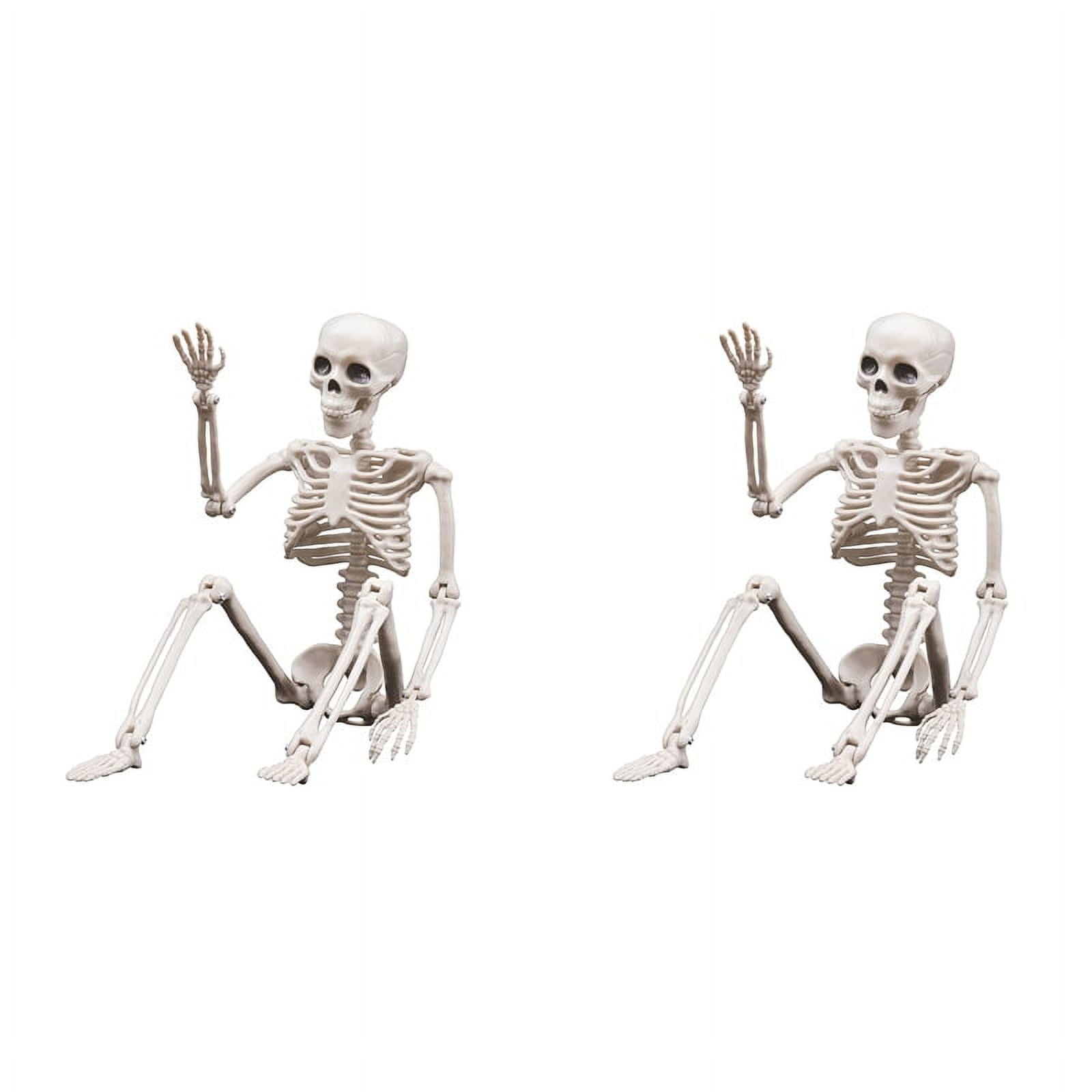 2X Halloween Skeletons Decorations, Posable Plastic Skeleton, Full Body ...