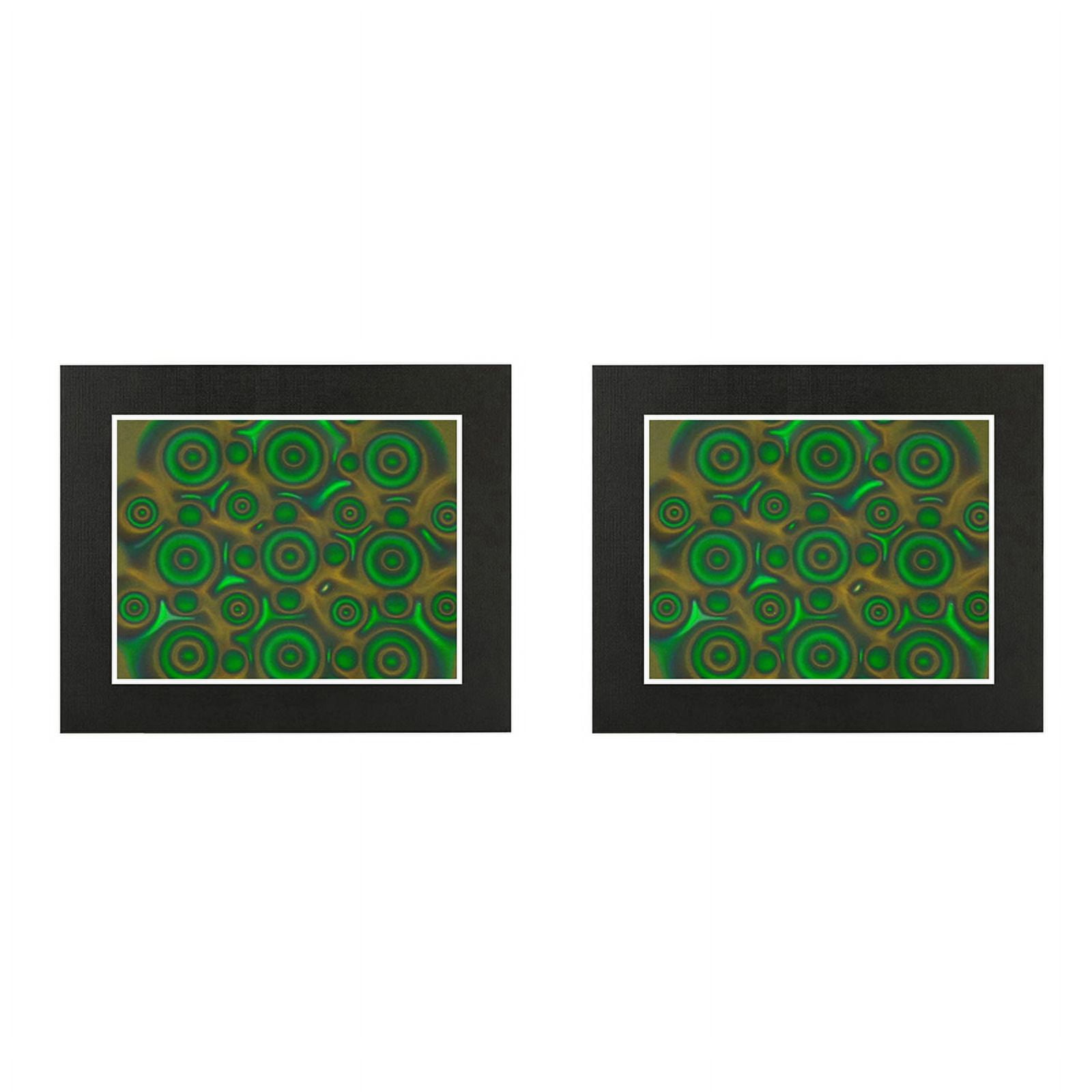 2X Magnetic Field Observation Film 4X6 Inch, Reusable Magnetic ...