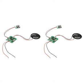 Recordable Sound Chip