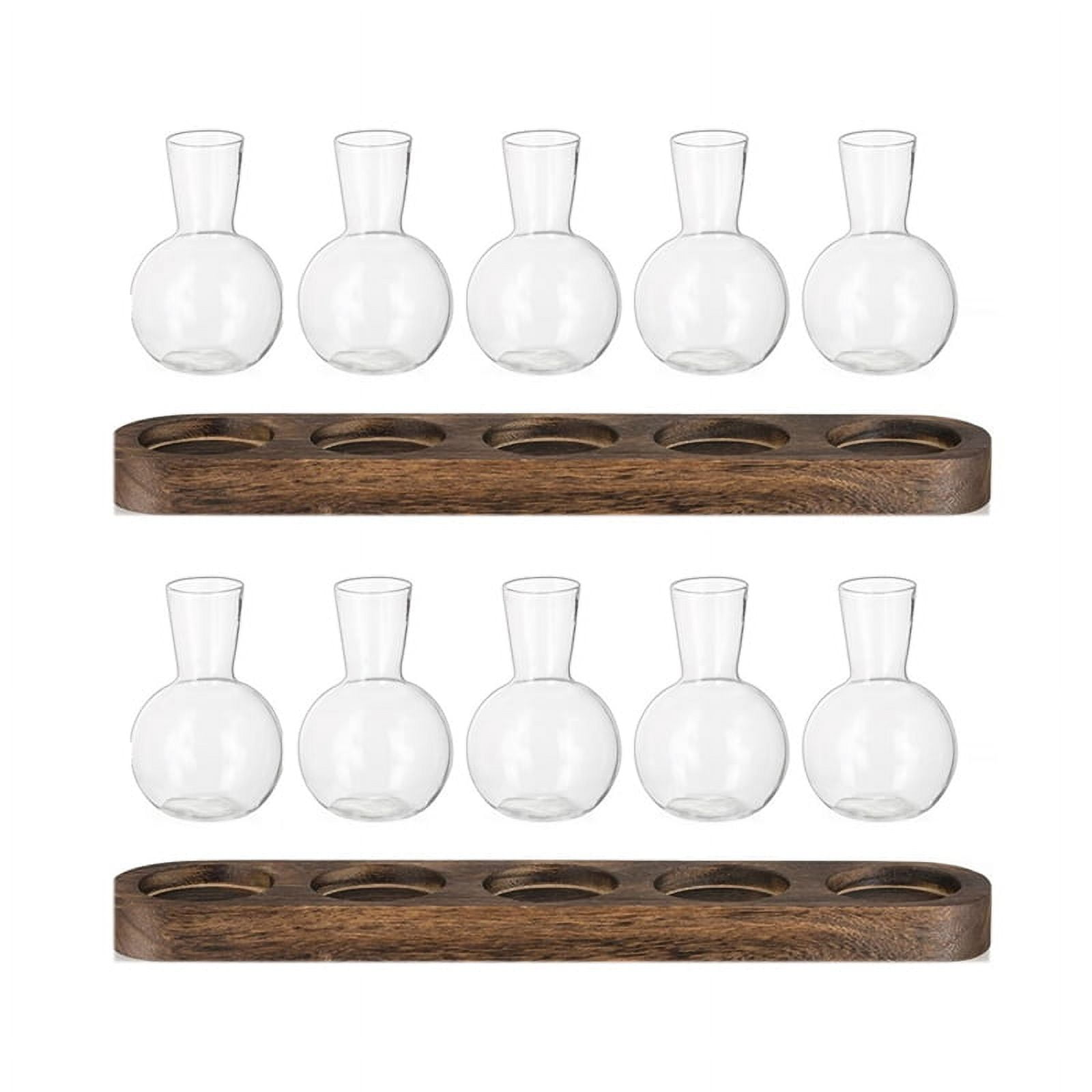 2X Plant Terrarium Propagation Station, Glass Planter Bulb Vase with ...