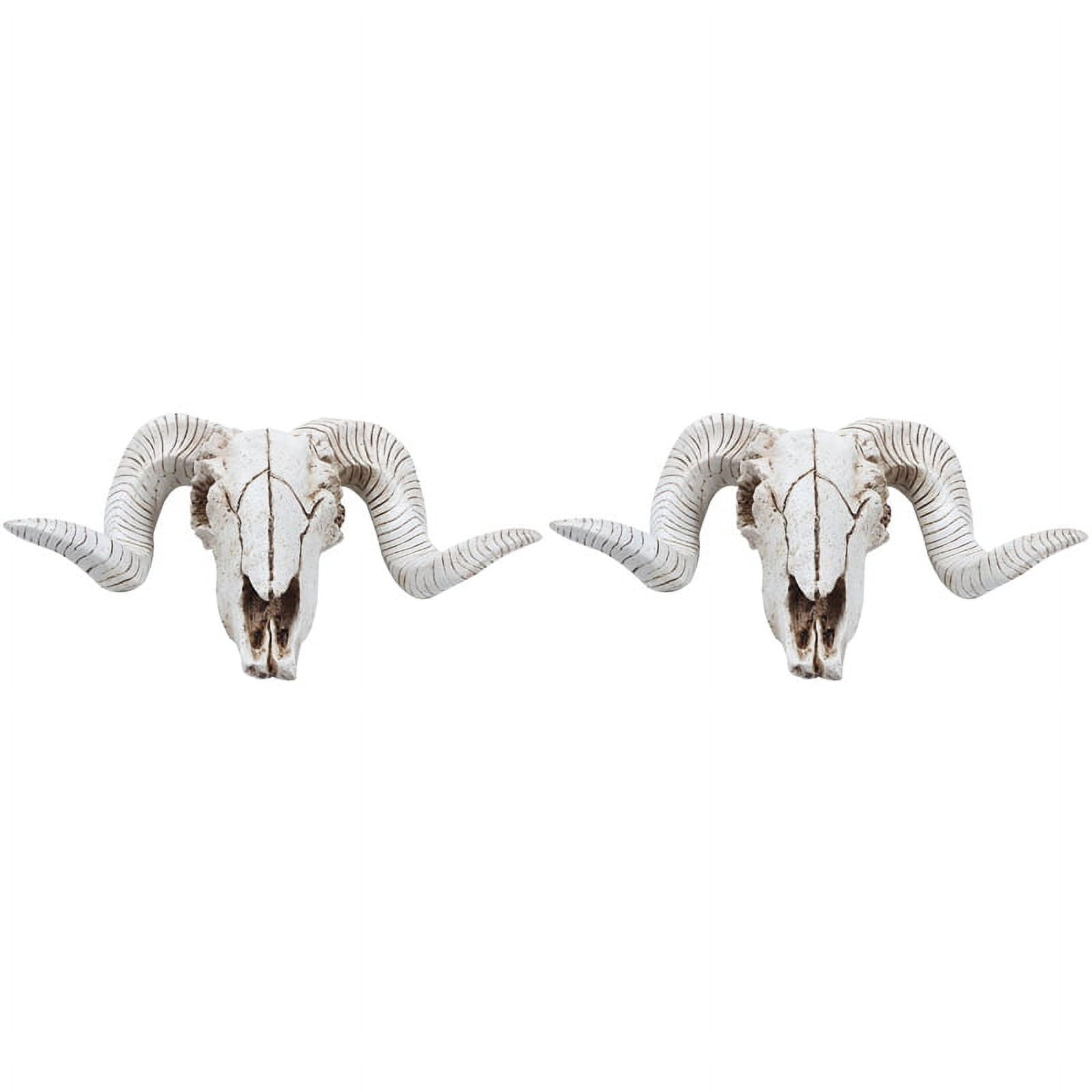 2X Resin Sheep Head Skull Head Wall Hanging 3D Animal Longhorn ...