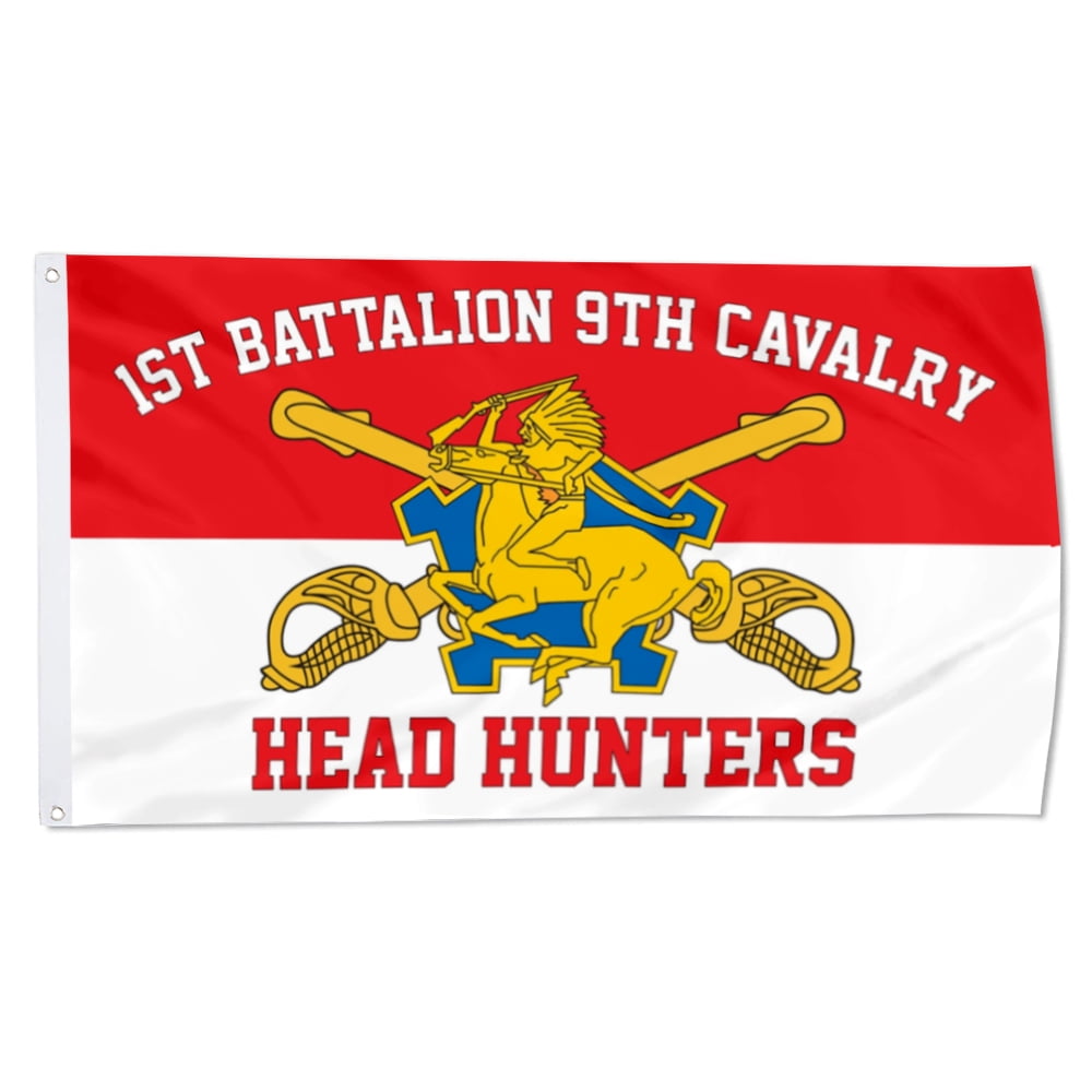 2but 1st bn 9th Cavalry Flag Head Hunters flags CAV US Army Military ...