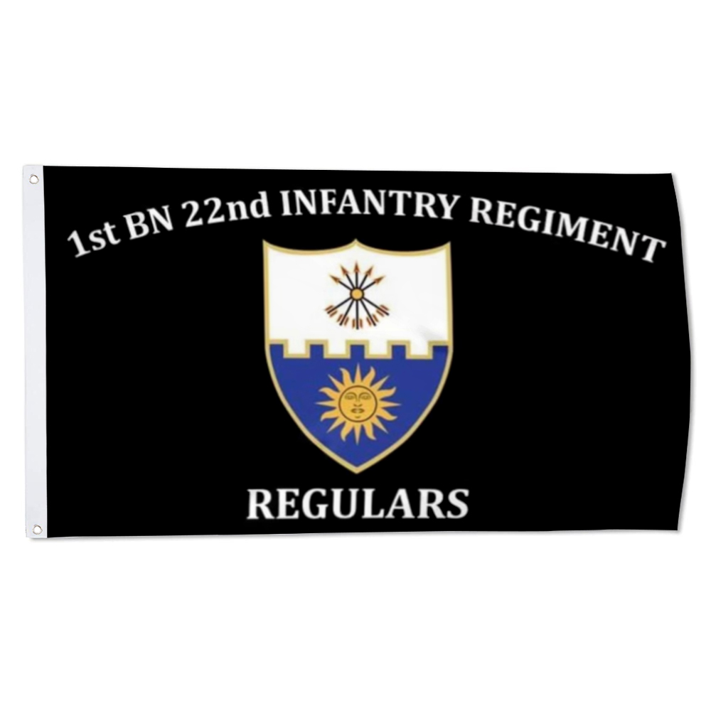 2but 22nd IN. Flags 1st bn 22nd Infantry Regiment flag Regulars Banner ...