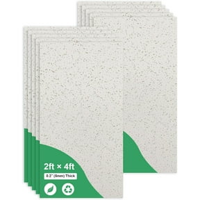2x4 Ceiling Tiles