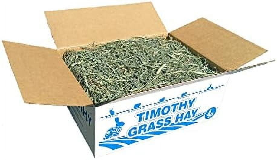 2nd Cutting Timothy Grass Hay for Guinea Pigs, Rabbits, and More Small ...