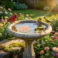 2pack Bird Bath Copper Purification Disk 99.99% Pure Copper Water ...