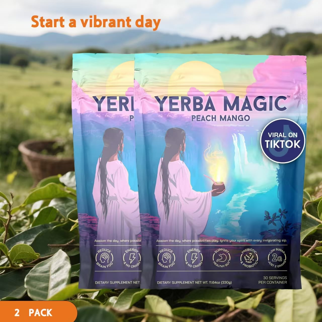 2pack Yerba Mate Instant Tea Powder, 3-in-1 Super Drink | Yerba Magic Peach Mango 30 Servings ...
