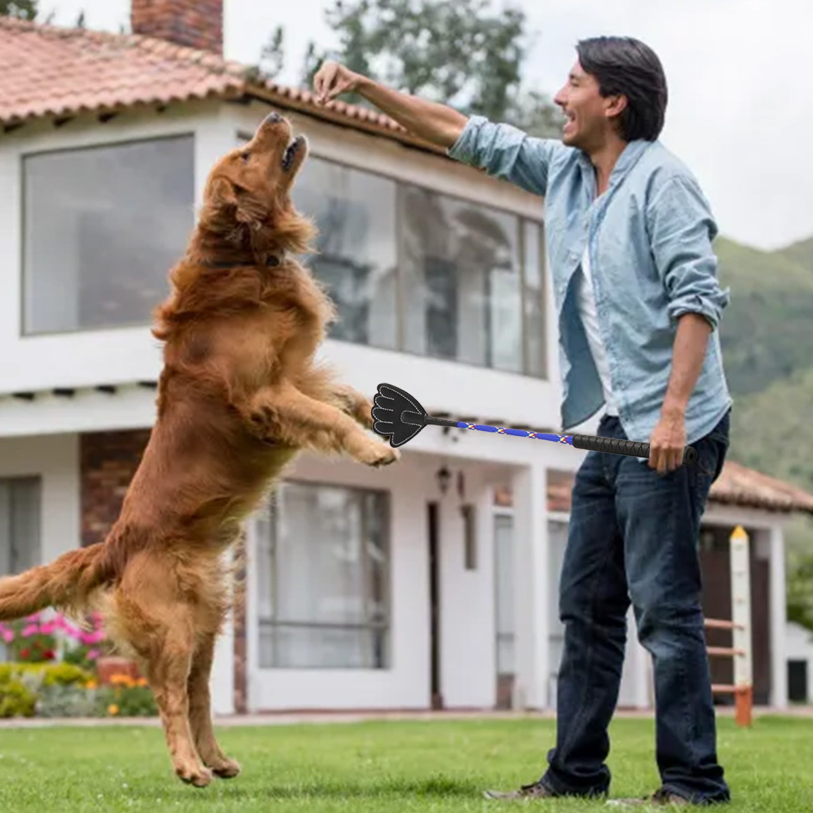 2pc Cat Training Stick - Cute Footprints Pet Dog Cat Puppy Training ...