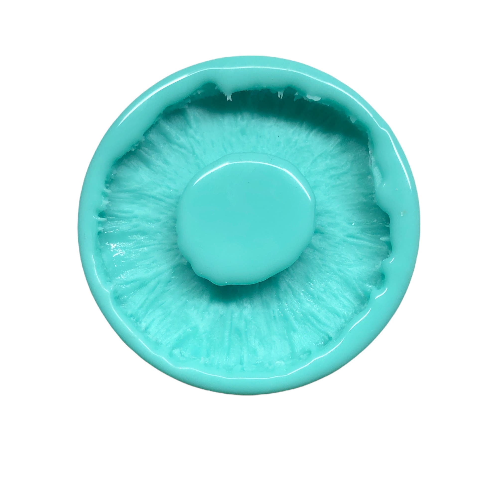 2pc Fresh Pineapple Ring Shape Silicone Mold| Soap Mold| Candle Mold ...