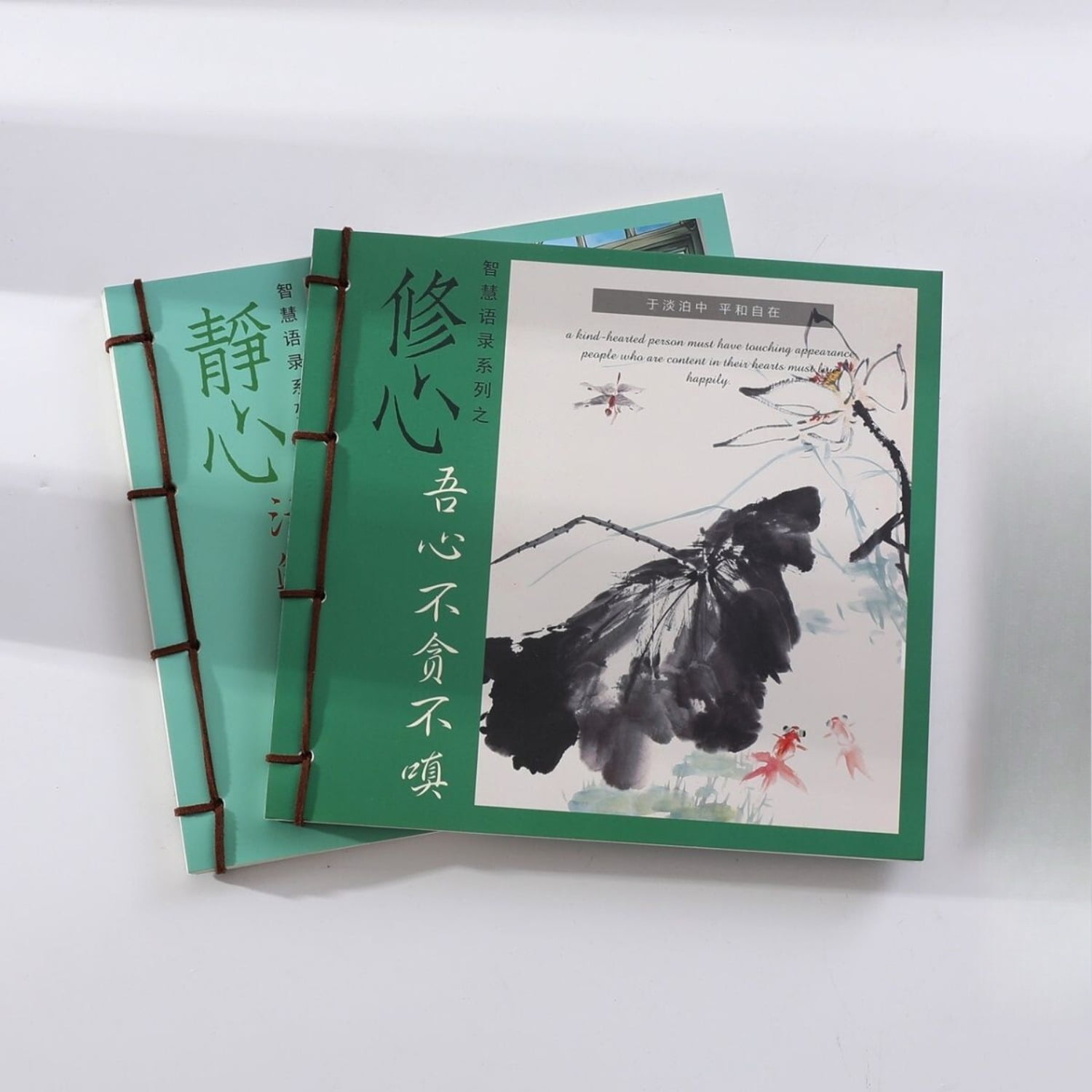 2pc Mindfulness Meditation Calligraphy Practice Book Regular Script ...