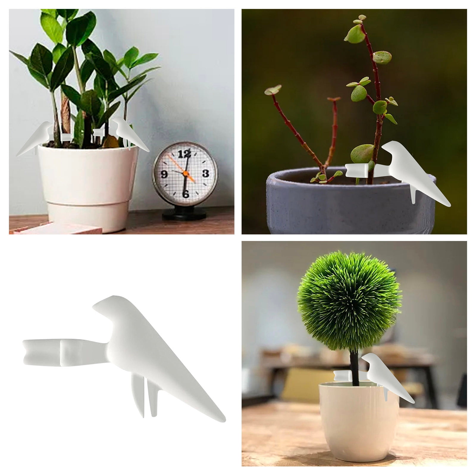 2pc Propagation Station- Support for Cuttings Stems and Sprouts Stem ...