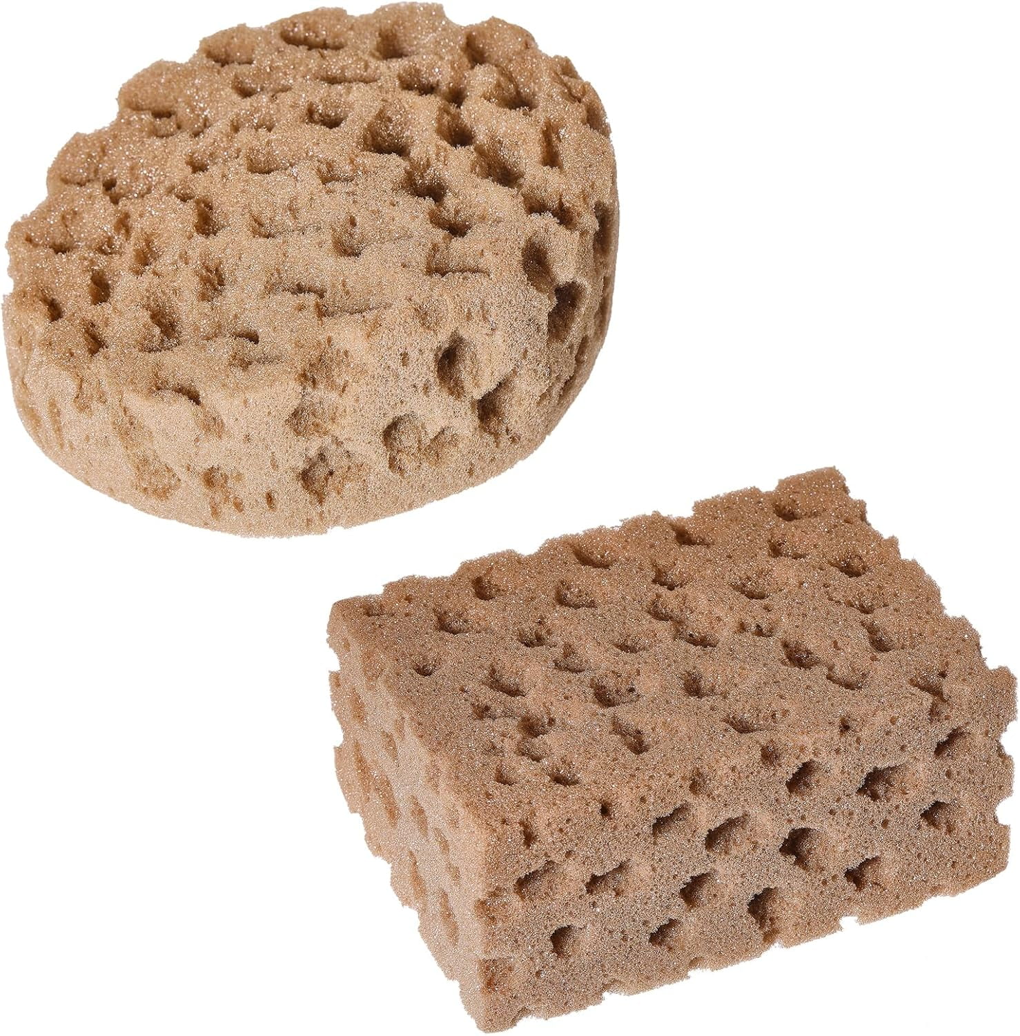 2pcs 2 Styles Sea Sponges for Artists Painting Sponge Knockdown Texture ...