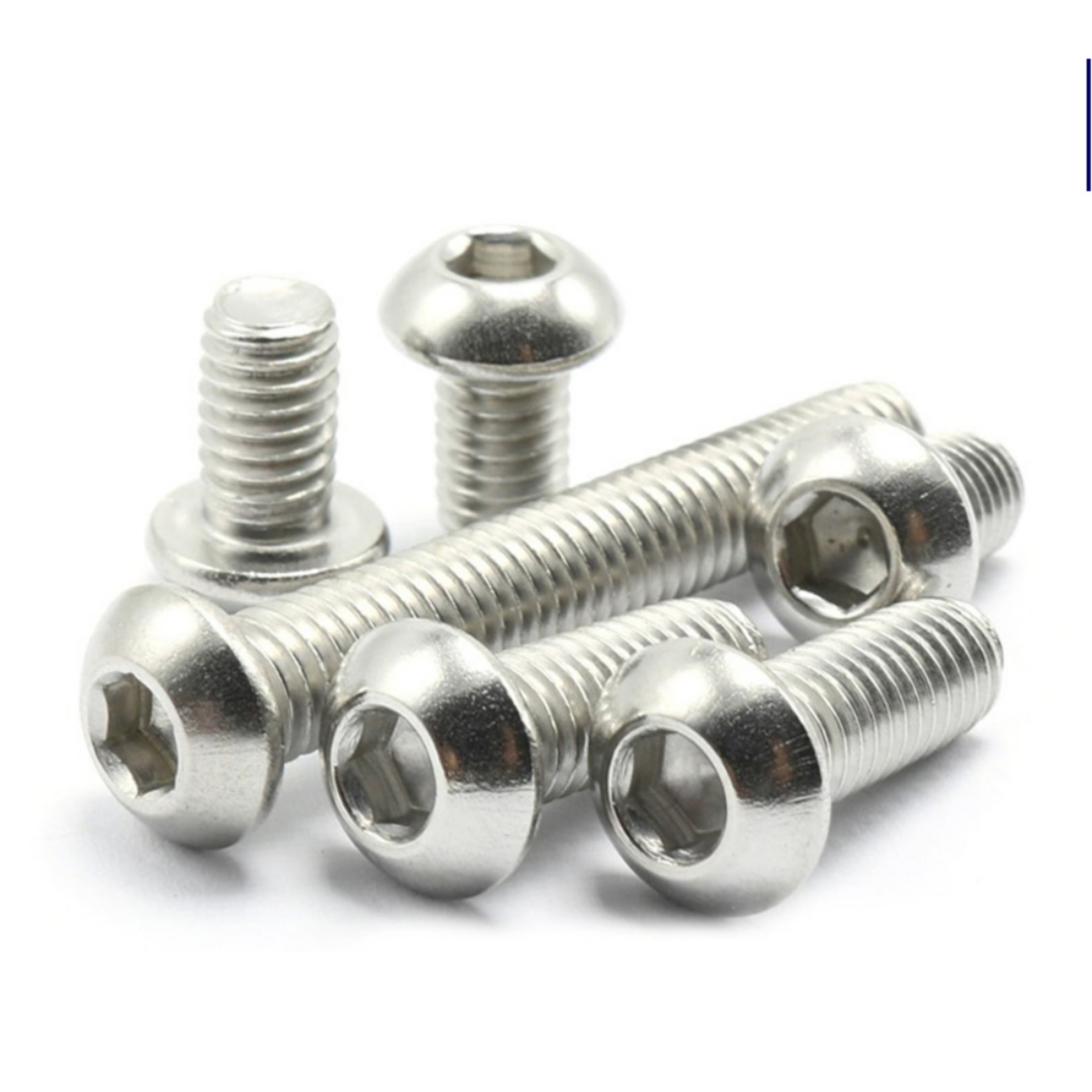 (2pcs) 316 Stainless Steel Half Round Head Hexagon Socket Head Screw ...