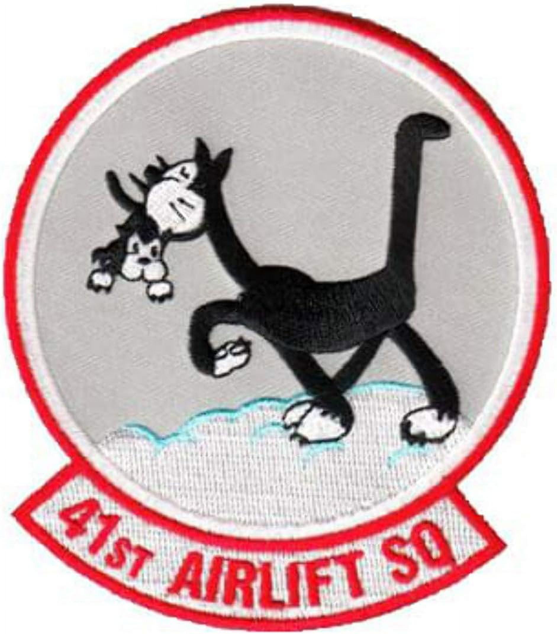 2pcs 41st Squadron Patch – Sew On - Walmart.com