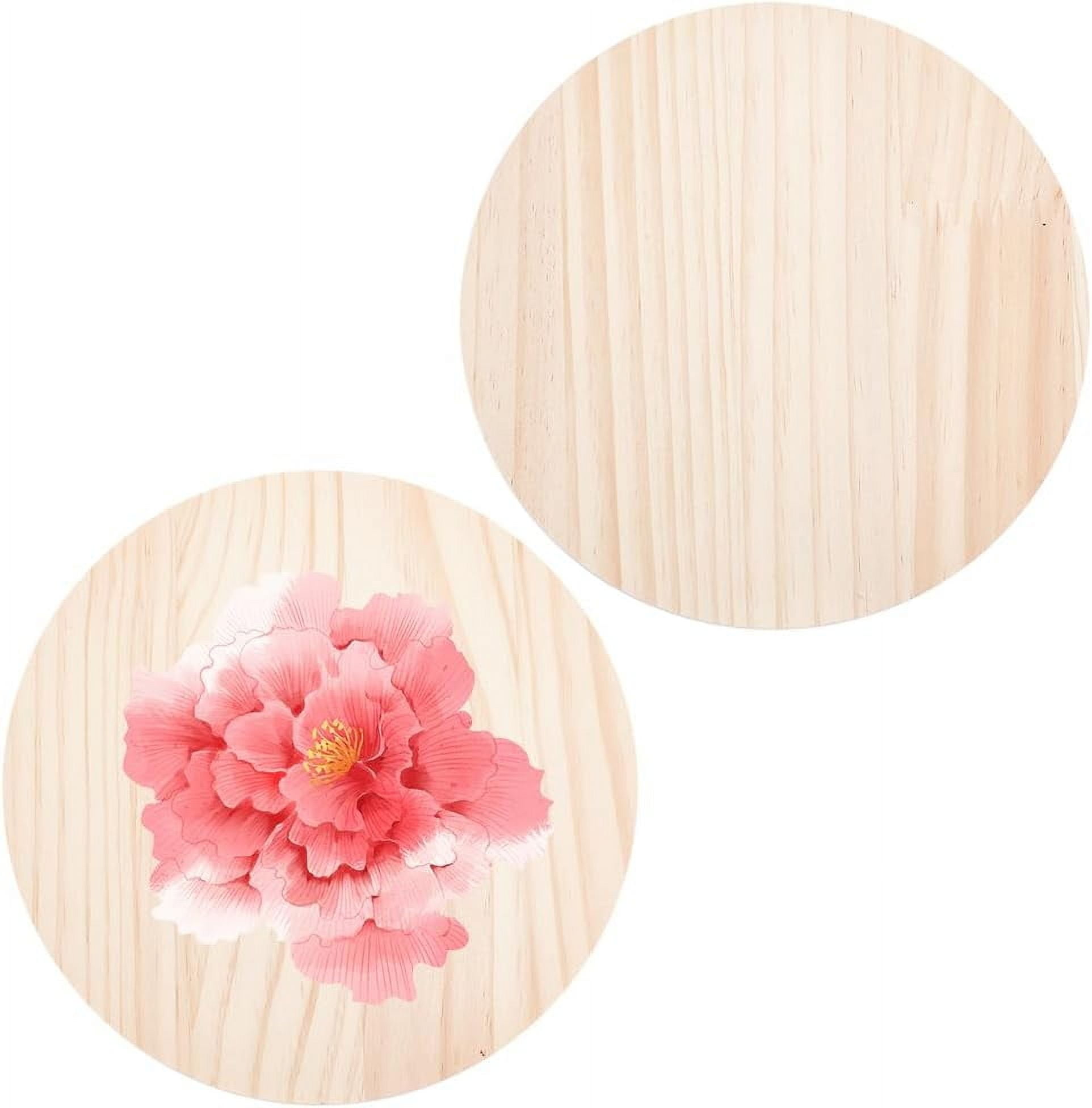 2pcs 7inch Round Wooden Plaques for Craft Projects Natural Pine ...