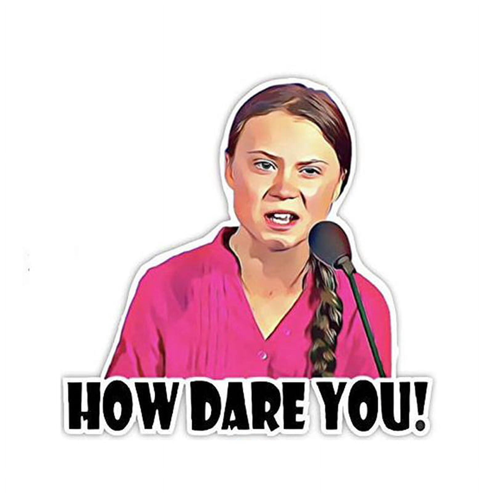 2pcs 8*8cm How Dare You Greta Thunberg Vinyl Decal Sticker Window Truck wrDWA - Walmart.com