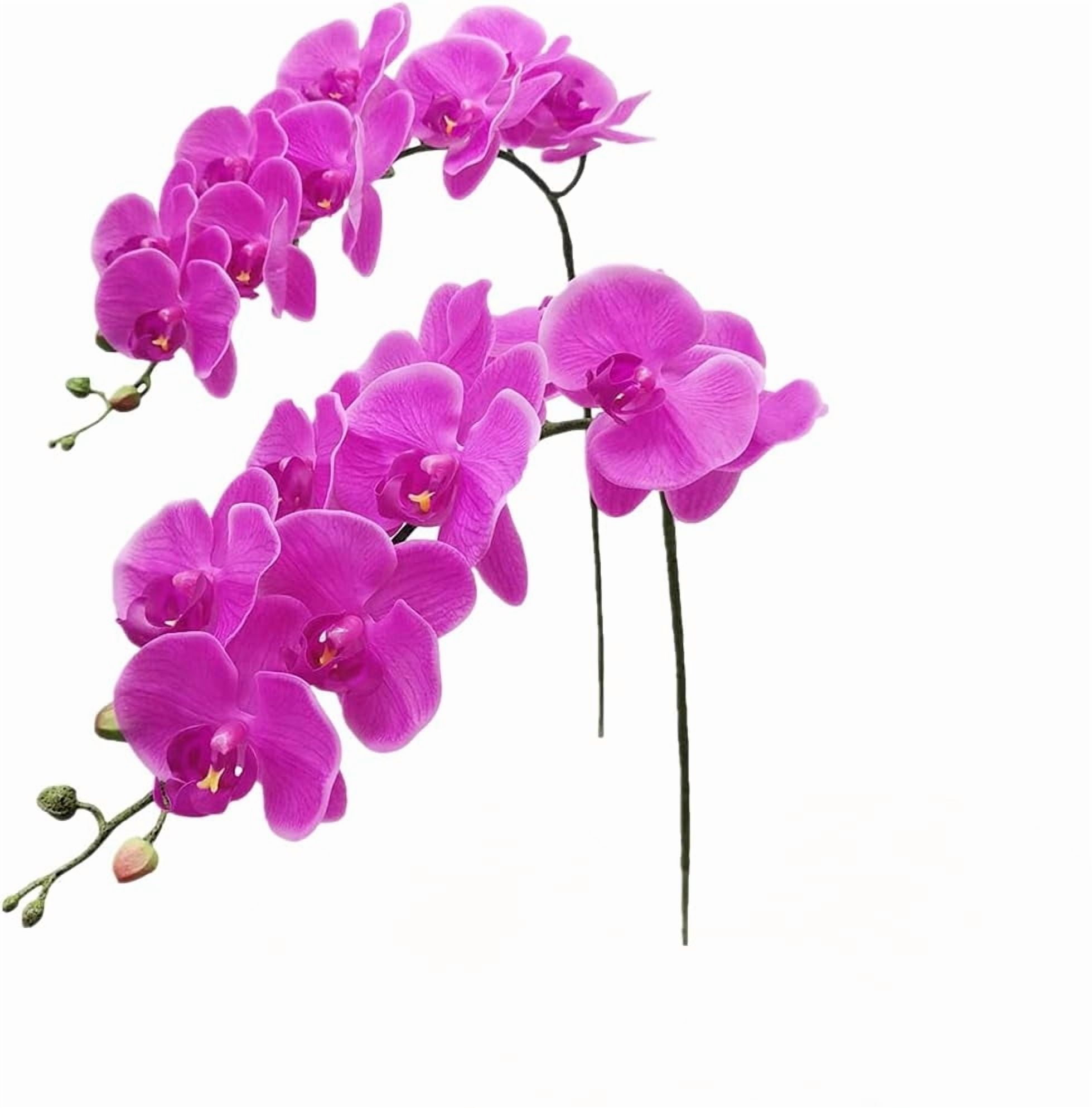 2pcs Artificial Orchid Stems Real Touch Simulation Phalaenopsis ...