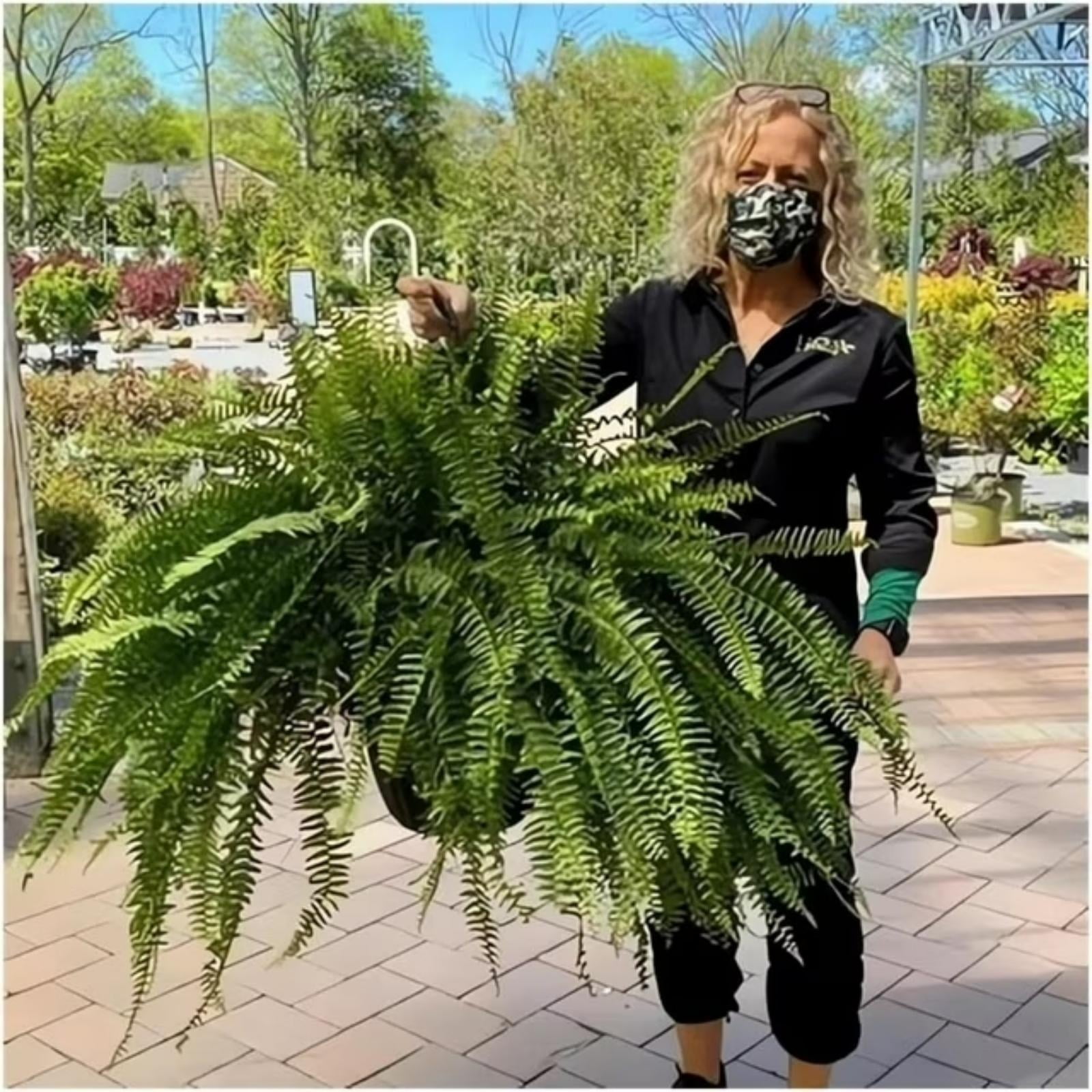 2pcs Artificial Plants Fake Boston Fern Outdoor Greenery Hanging Ferns ...