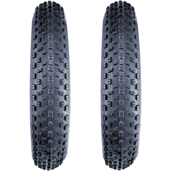 Fat Tire Tires