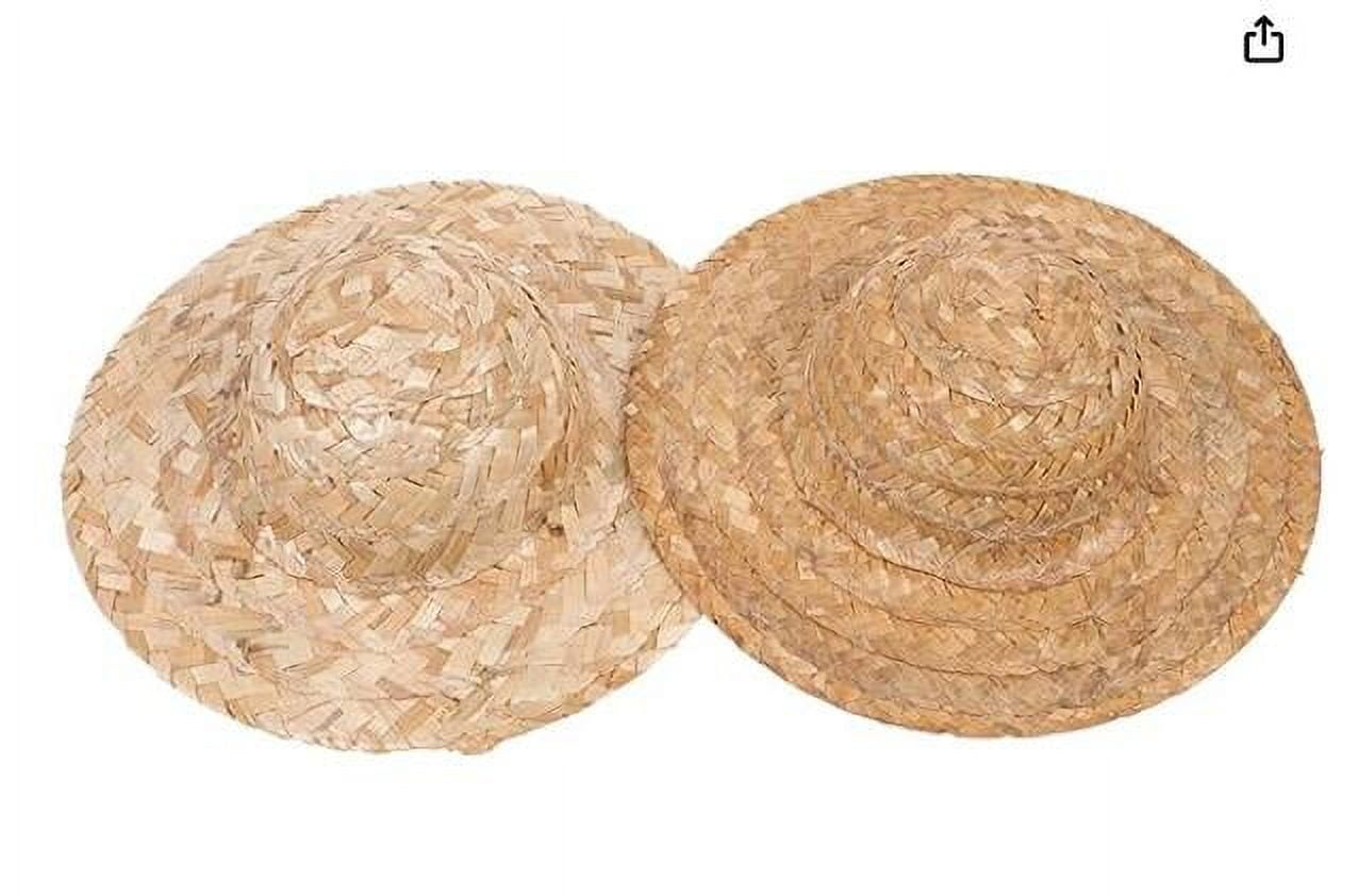 2pcs Braided Straw Hats Hand Woven Straw Hat Tiny Sombrero Hats Small ...
