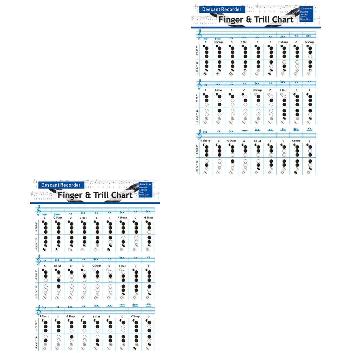 2pcs Coated Paper Flute Chord Chart Portable Practice Chart Flute Chord ...