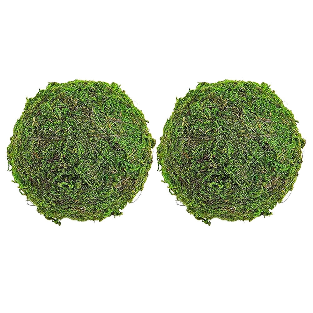 DANCINGROOM 2pcs Natural Decorative Moss Balls, Handmade Moss Globes ...