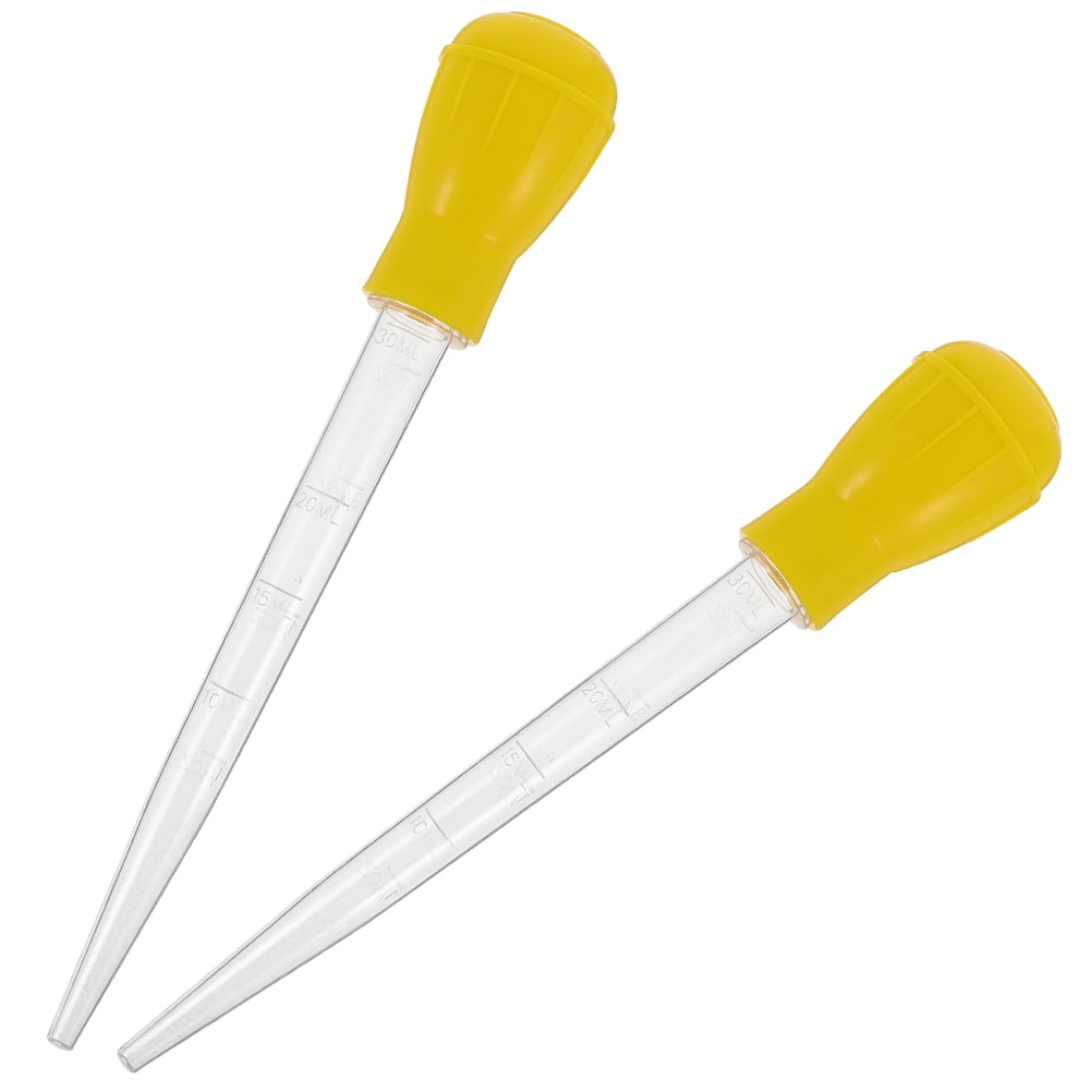 2pcs Flavor Injection Tool Turkey Injector and Baster Cooking Baster ...