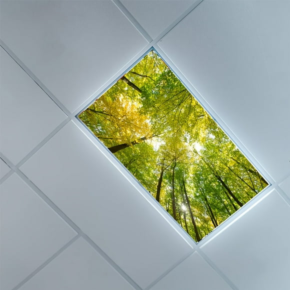 Fluorescent Light Fixture Covers Replacement