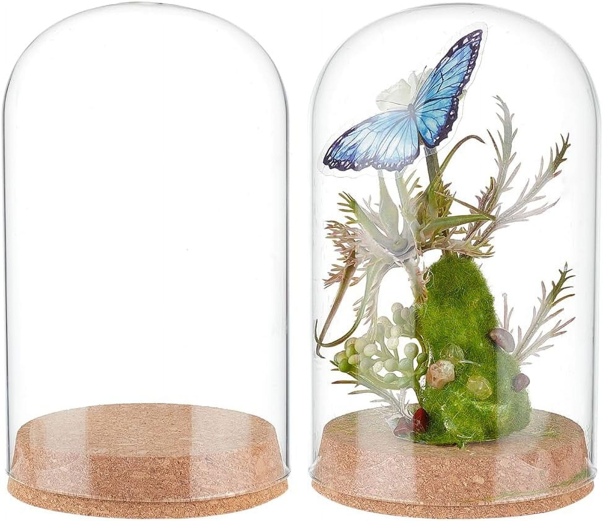2pcs Glass Display Dome Cloche 3.9x6.8 inch Glass Bell Jar with Cork ...