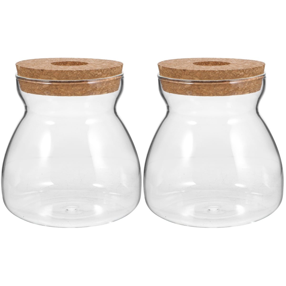 2pcs Glass Jar Plant Terrarium Micro Landscape Container Terrarium Fish ...