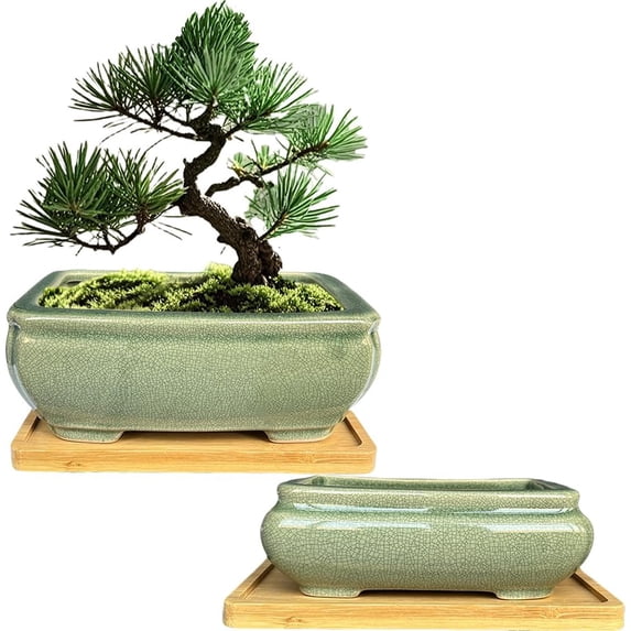 2pcs Green Ceramic Bonsai Planter Pots with Bamboo Tray 6.2 “ & 5.3 ...